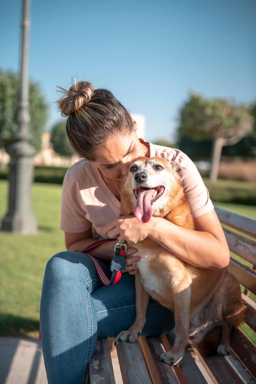 A premium in-home pet care service in Doha - Qatar - Sweet Home Pet Sitter